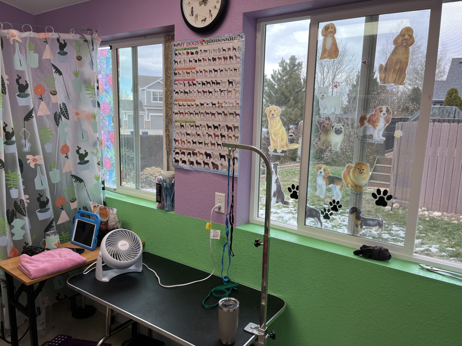 About Us | Suki's Dog Salon